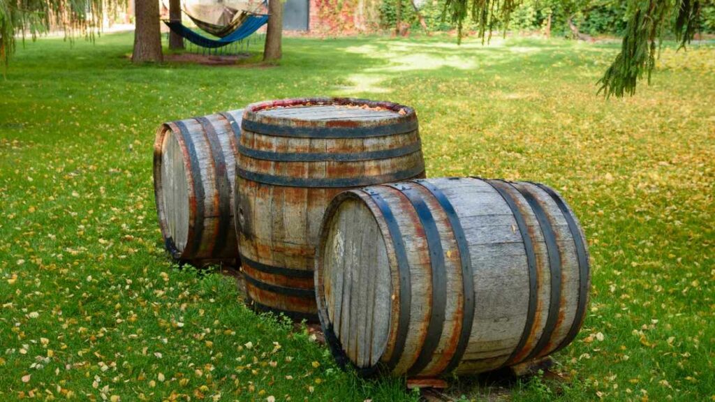 How to Upcycle an Old Whiskey Barrel in Your Backyard